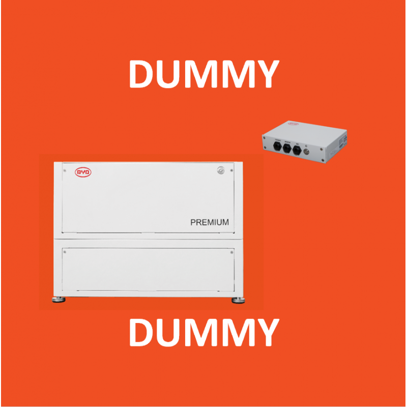 LVL Dummy Package (mit BMU)